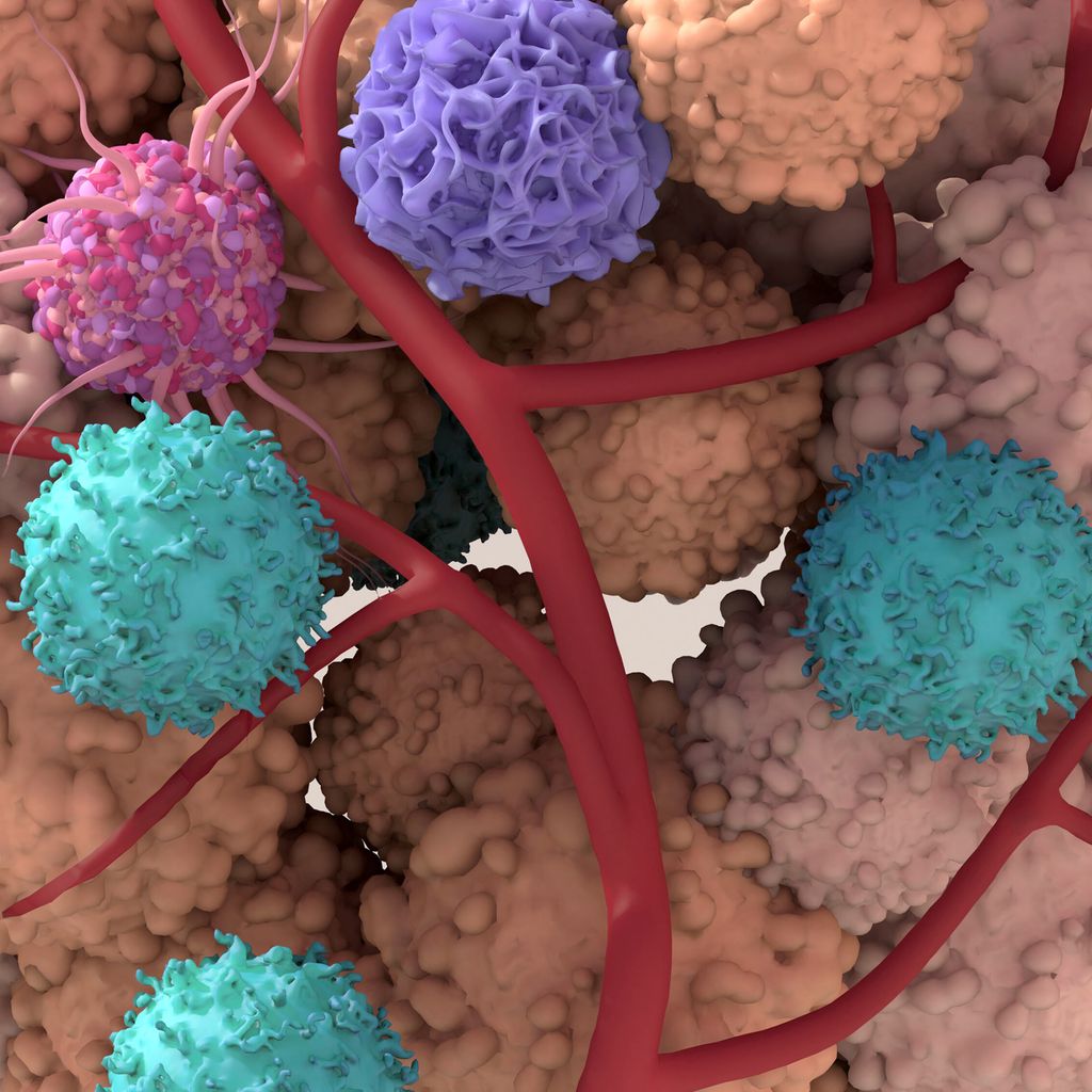 „Hallmarks of Cancer“: Eine kurze Geschichte des Fortschritts ...